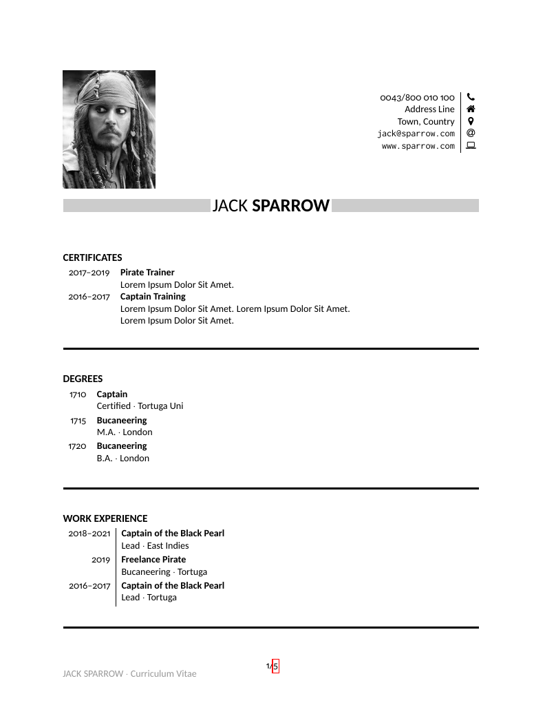 New Template: One Row Academic CV – LaTeX Ninja'ing and the Digital ...